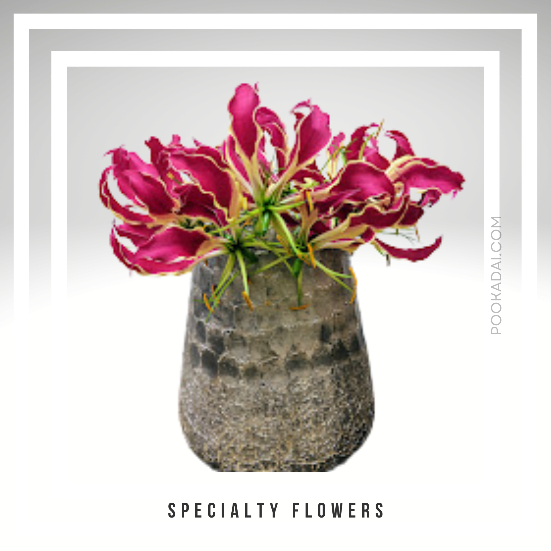 Specialty Flower of Eelam Tamils | Pookadai Florist