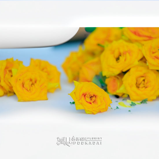 Fresh Button Roses