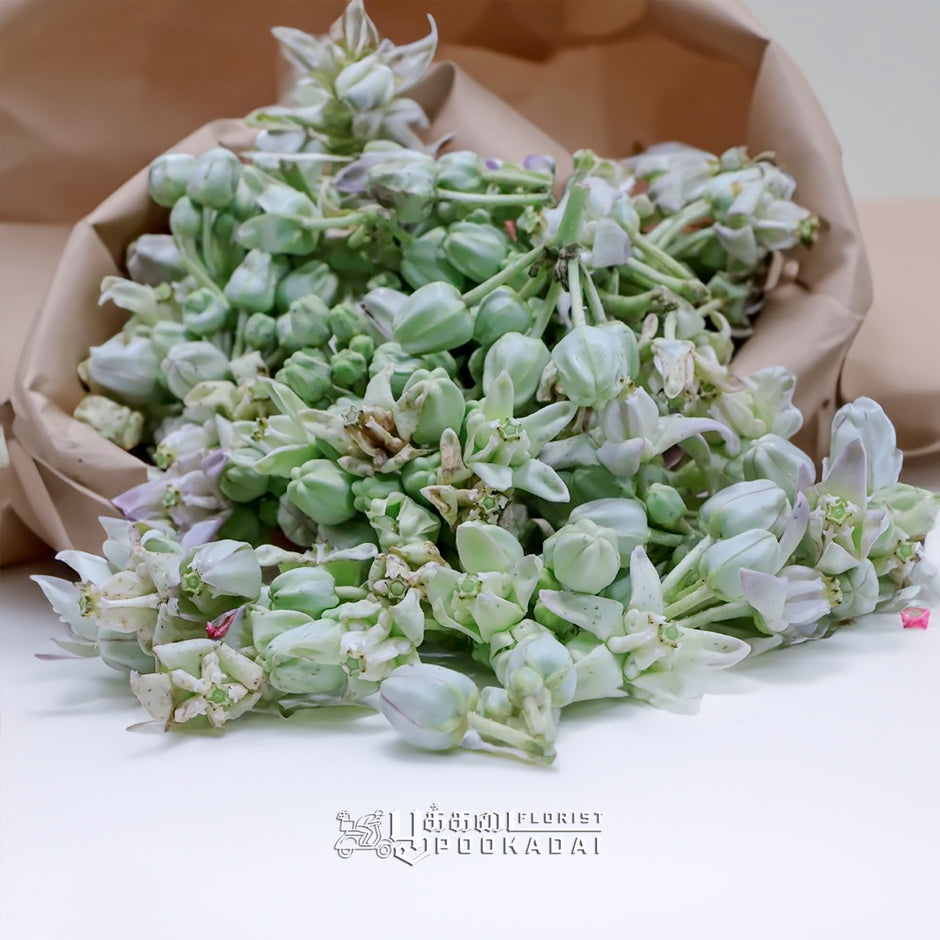 Pooja Flowers – Loose Fresh Flowers for Daily Worship