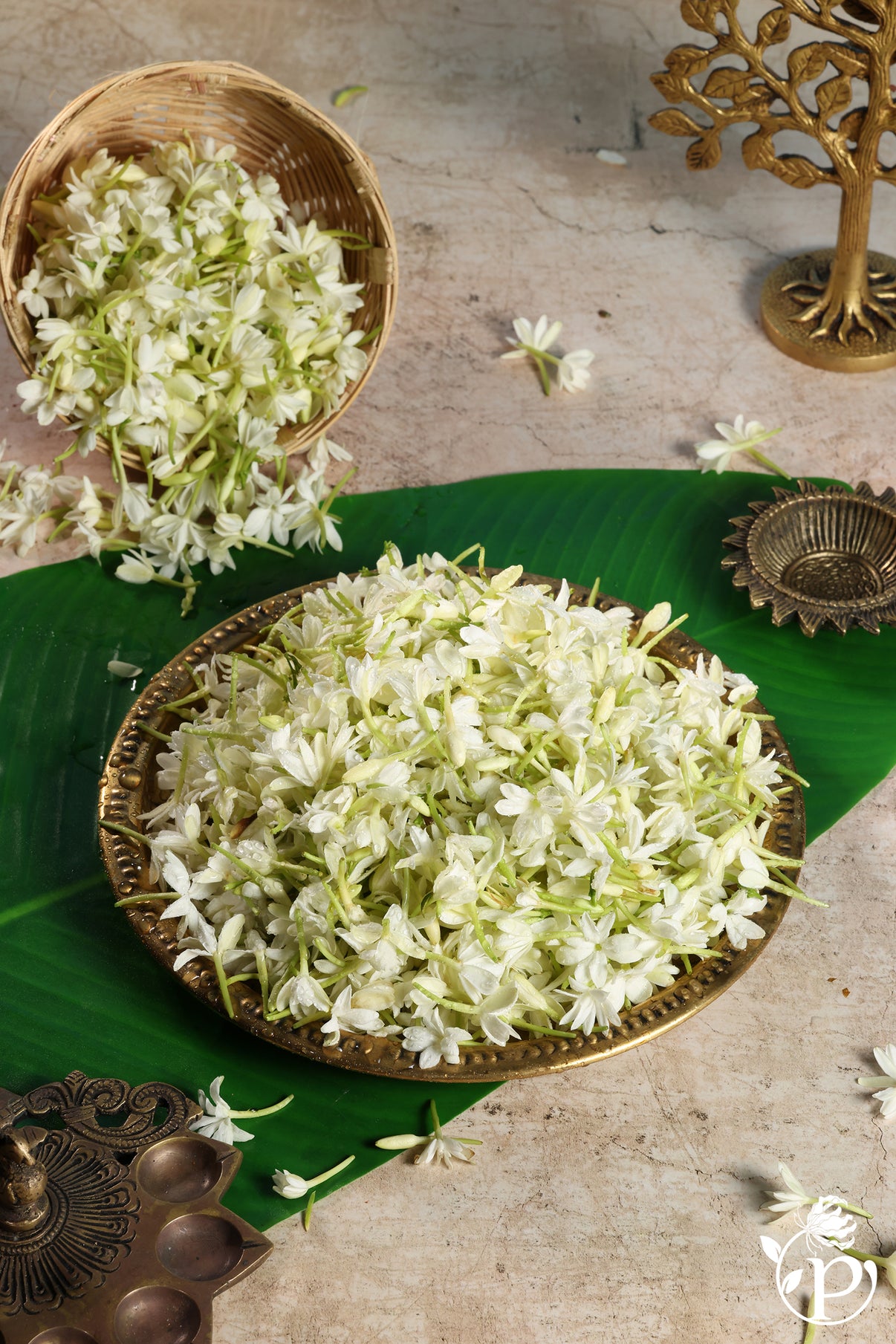 Fresh Mullai Poo – Fragrant South Indian Flower for Pooja & Decor ...