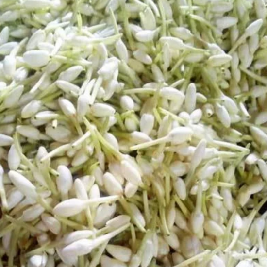 Fresh Mullai Poo – Fragrant South Indian Flower for Pooja & Decor ...