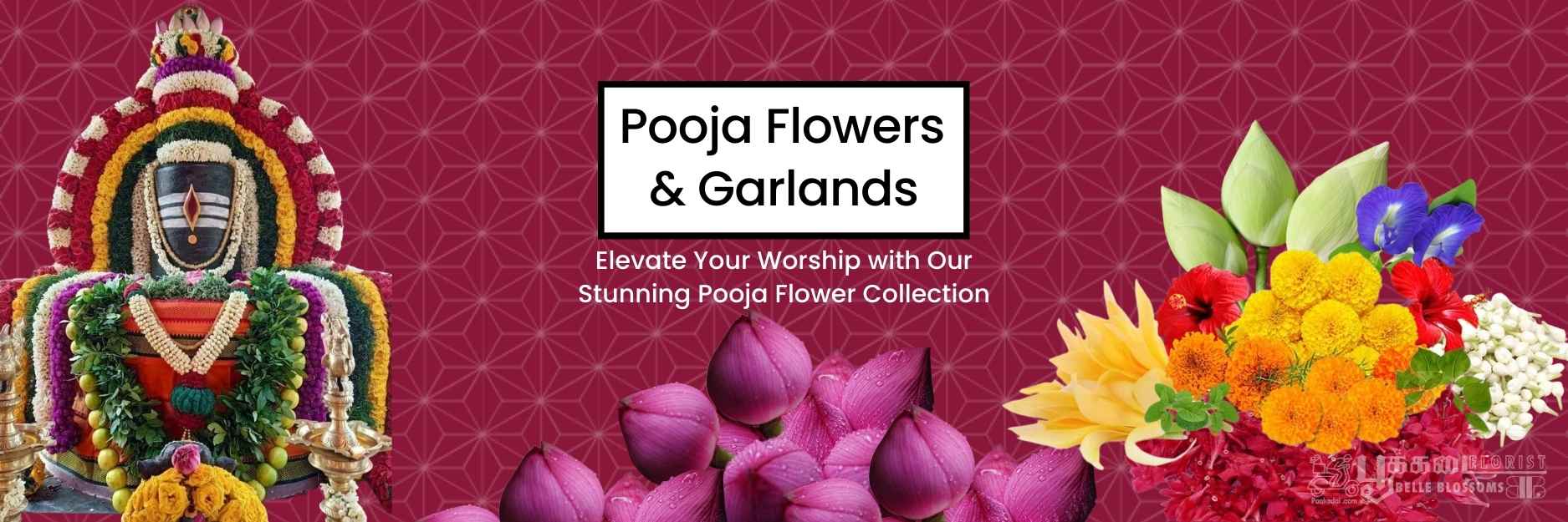 Celebrate life's moments with the beauty and grace of Indian flowers