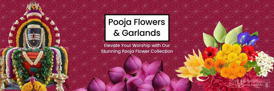 Celebrate life's moments with the beauty and grace of Indian flowers ...
