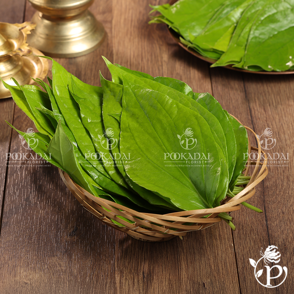 Paan/ Pan Leaves/ Betel Leaves for Pooja & Ritual Use – Pookadai ...