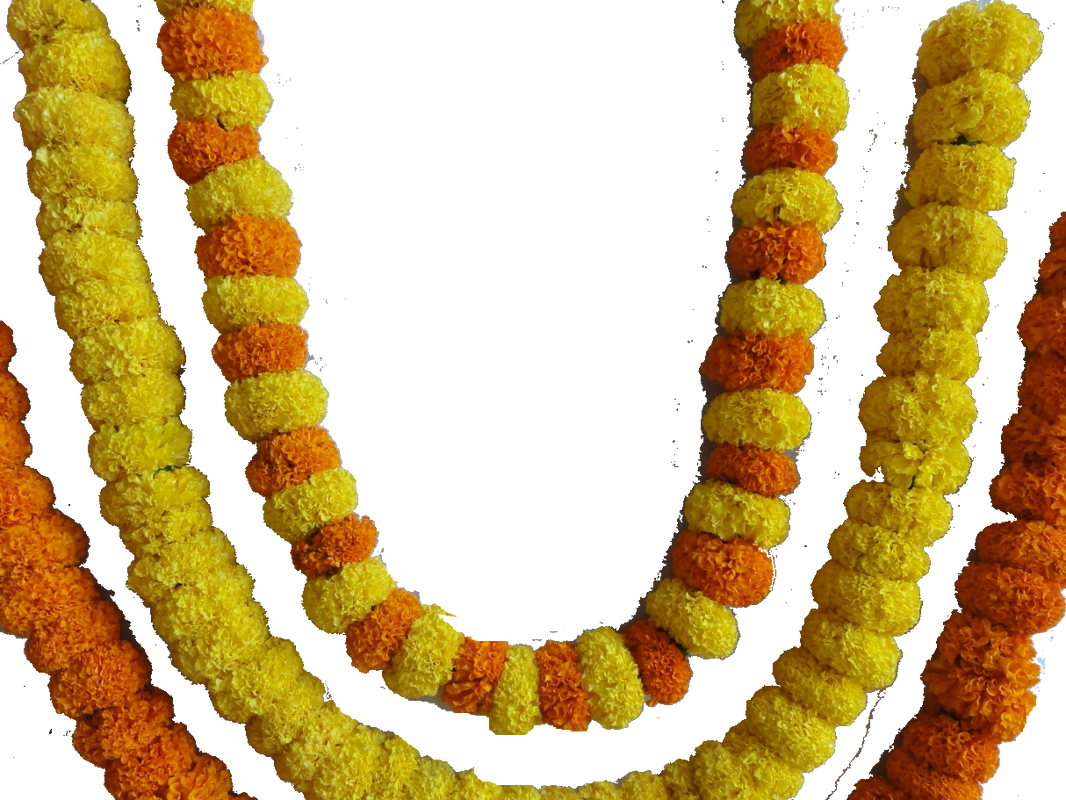 Celebrate life's moments with the beauty and grace of Indian flowers ...