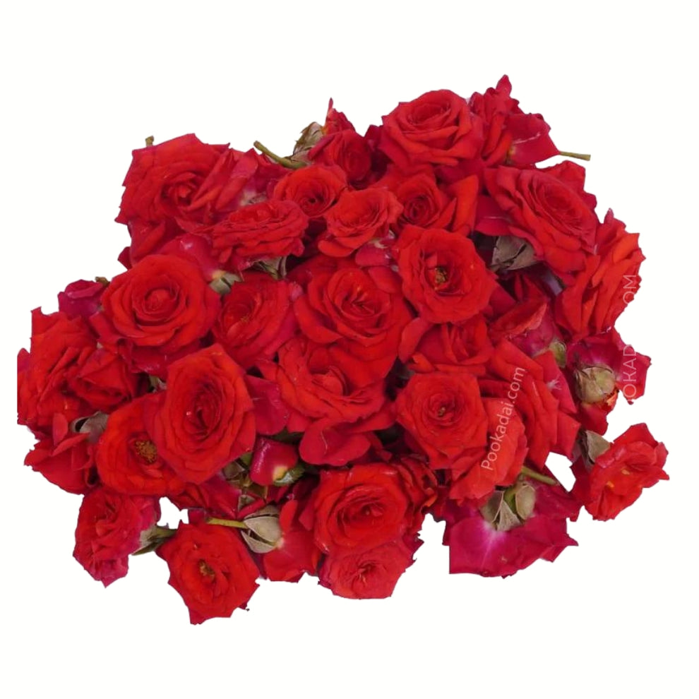 Fresh Button Roses - Red, Yellow & Orange Mini Roses Garlands