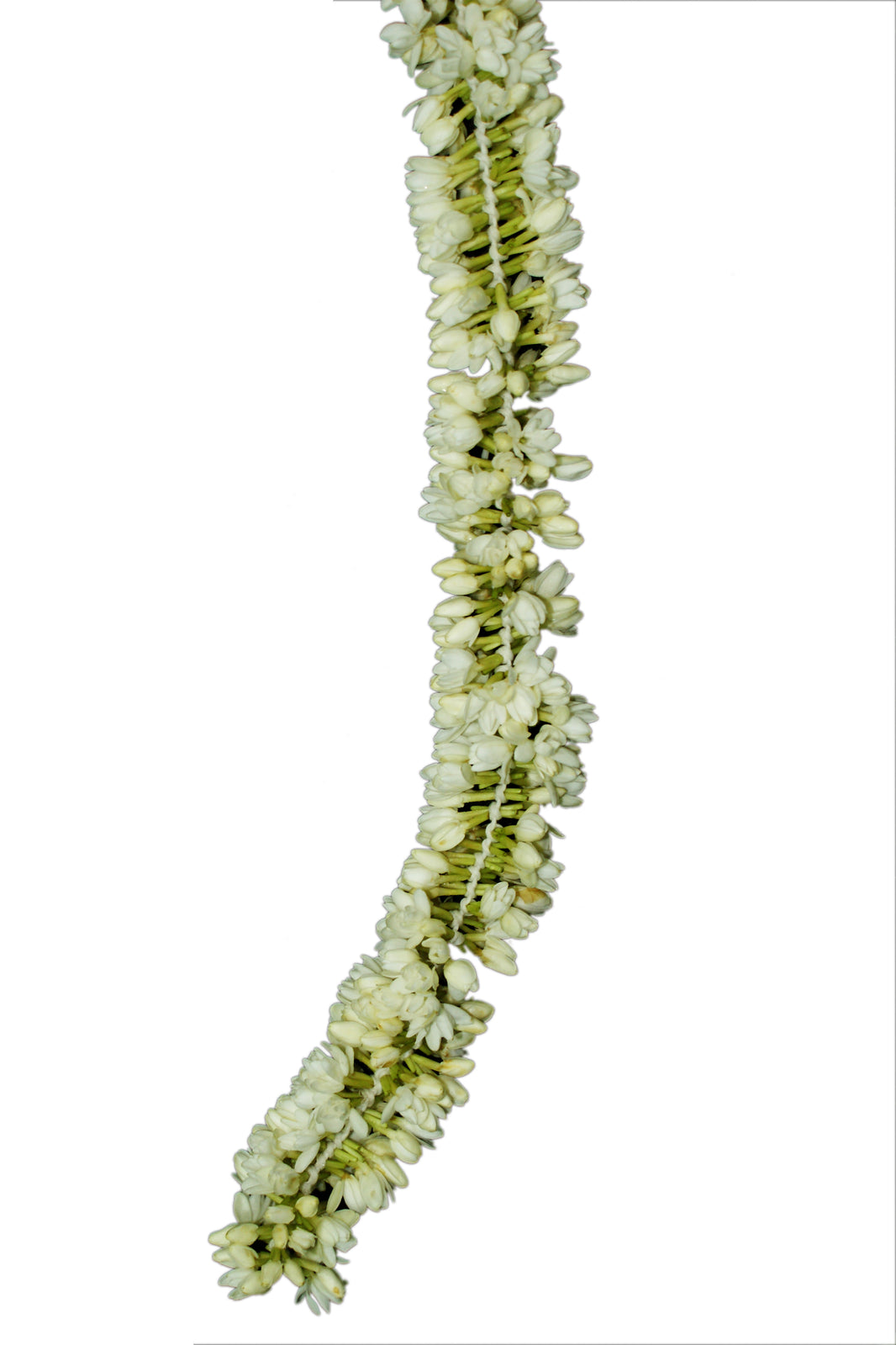 Flower Strings | Poo Saram Charam | Pooja String | Pookadai.com