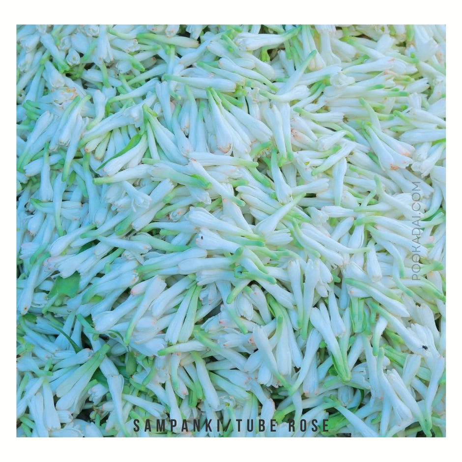 Pooja Flowers – Loose Fresh Flowers for Daily Worship